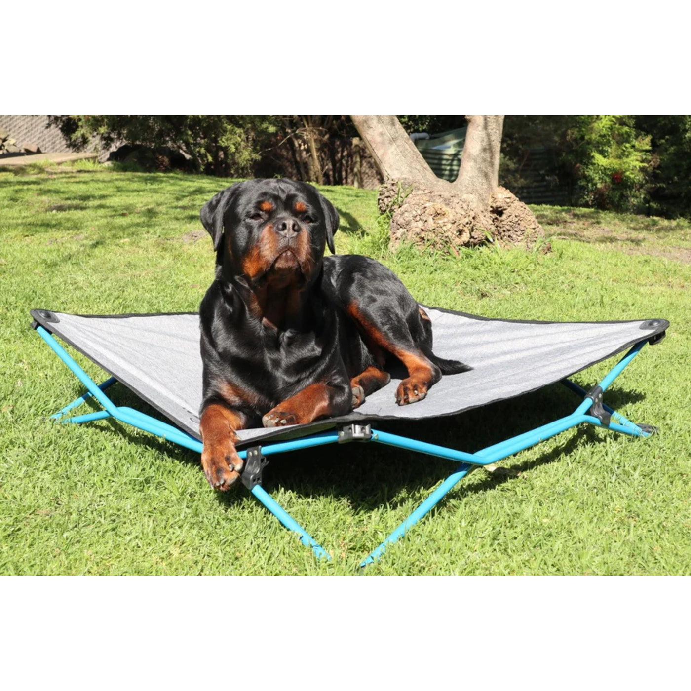 Navigator Dog Bed Large